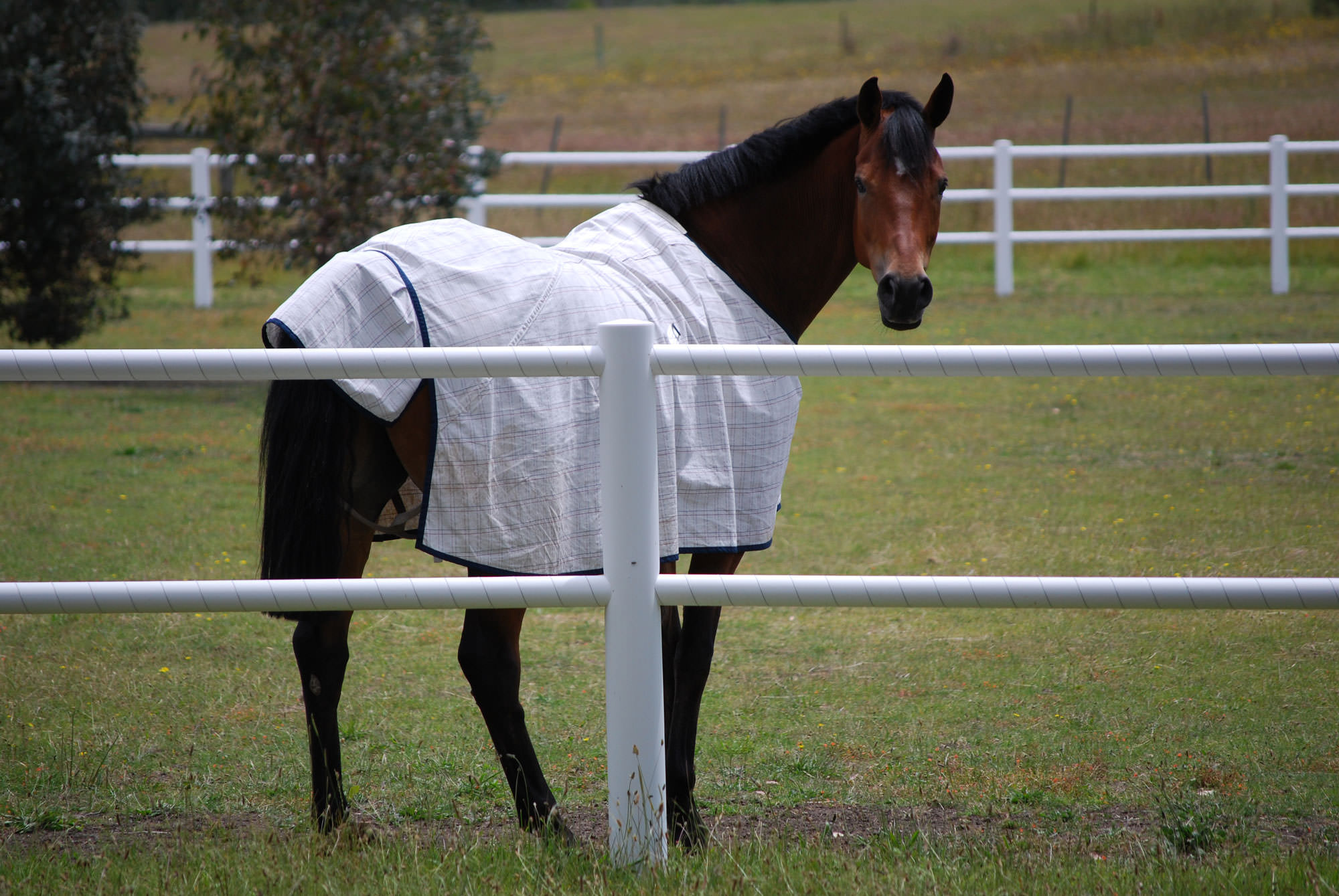 Equisafe Fencing - Keeway Equestrian Surfaces