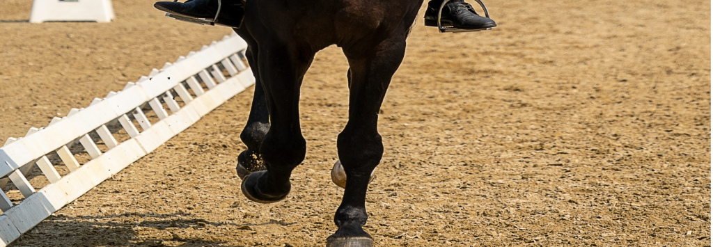 Terms & Conidtions - Keeway Equestrian Surfaces